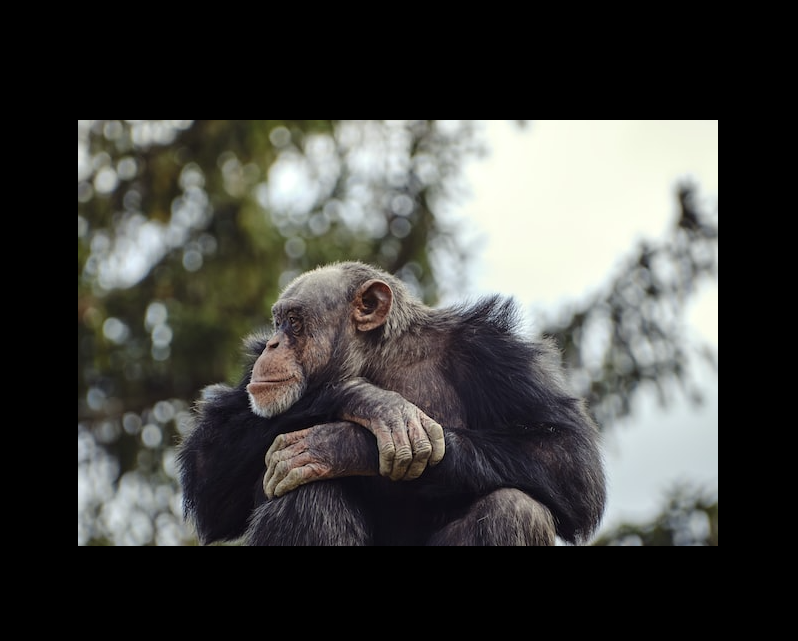 Web Blocks - ZTM Hacktoberfest 2022